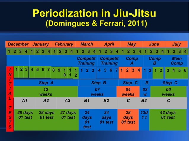Periodization in Sports: Theoretical Basis | ODP