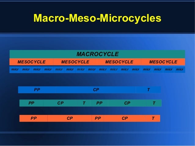 Periodization in Sports: Theoretical Basis