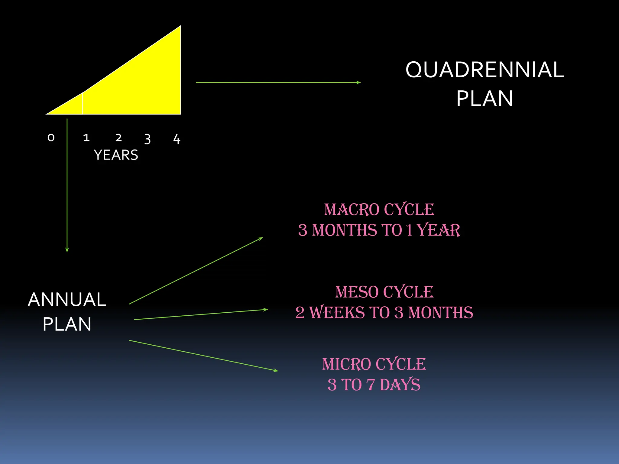 Periodization & construction of training plan.pdf