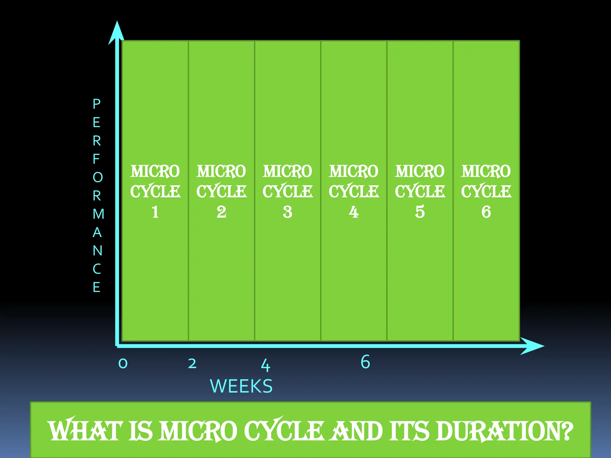 Periodization & construction of training plan.pdf