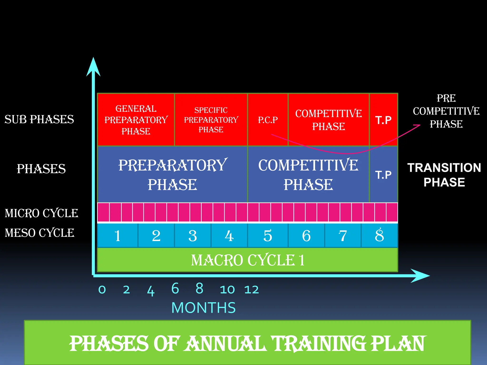 Periodization & construction of training plan.pdf