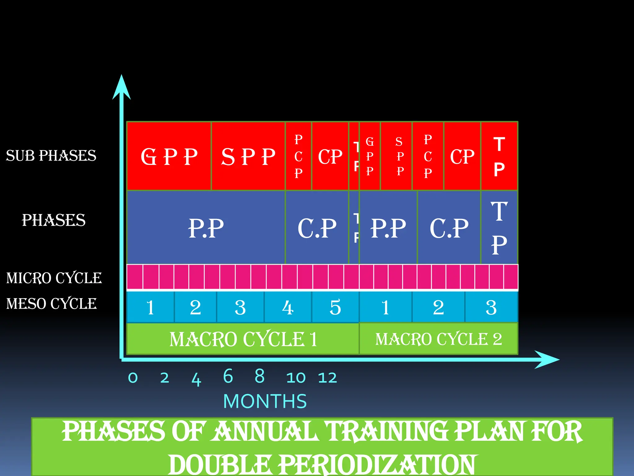 Periodization & construction of training plan.pdf