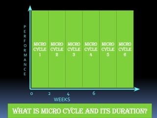Periodization & construction of training plan.pdf