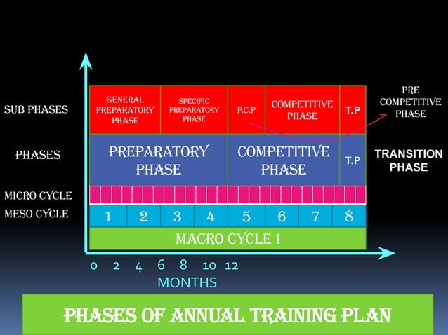 Periodization & construction of training plan.pdf