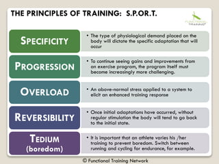 Periodization in functional training | PPTX