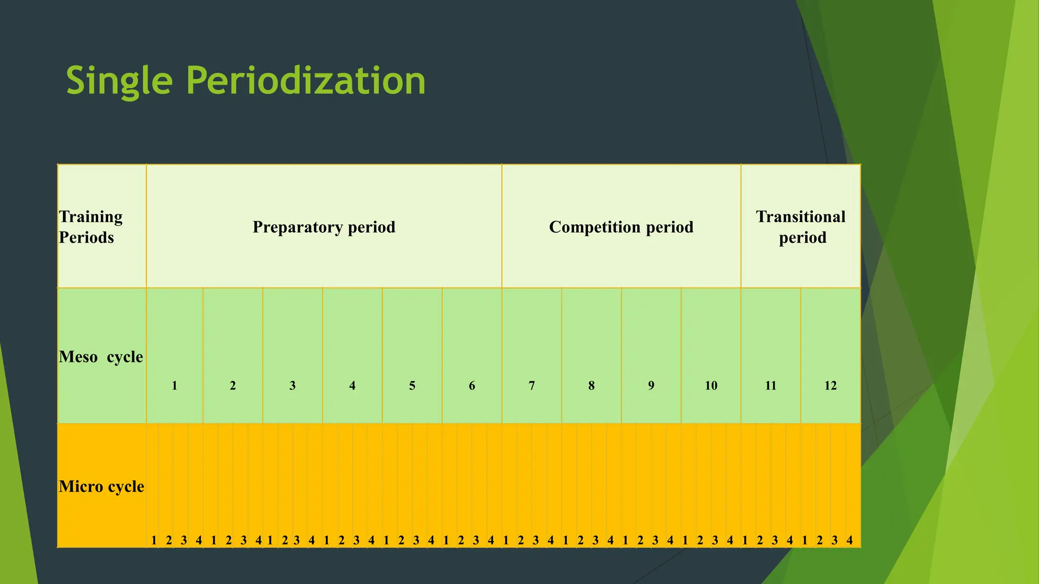 PERIODIZATION ppt.pptx