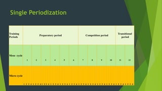 PERIODIZATION ppt.pptx | Cycling | Sports
