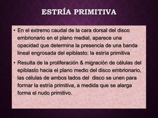 Periodo e mbrionario | PPTX
