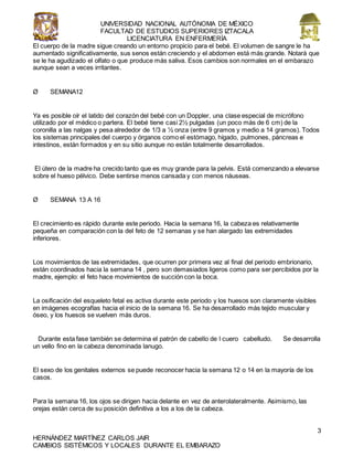 Periodo fetal por semanas | PDF