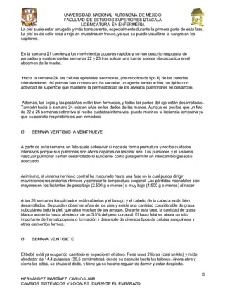 Periodo fetal por semanas | PDF