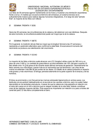 Periodo fetal por semanas | PDF