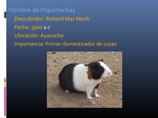 Periodo litico | PPT