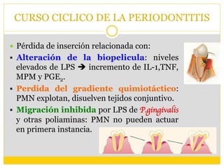 Patogenia Periodontitis y Gingivitis | PDF