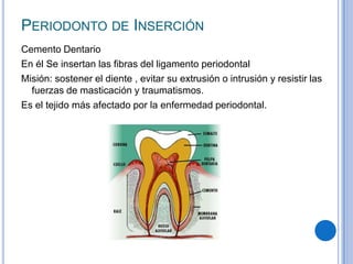 Periodoncia y operatoria_dental[1] | PPTX