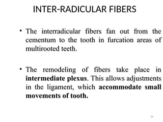INTRODUCTION TO PERIODONTAL LIGAMENT- DR. ARUN TOM | PPT