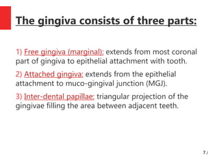 Periodontal Considerations | PPTX