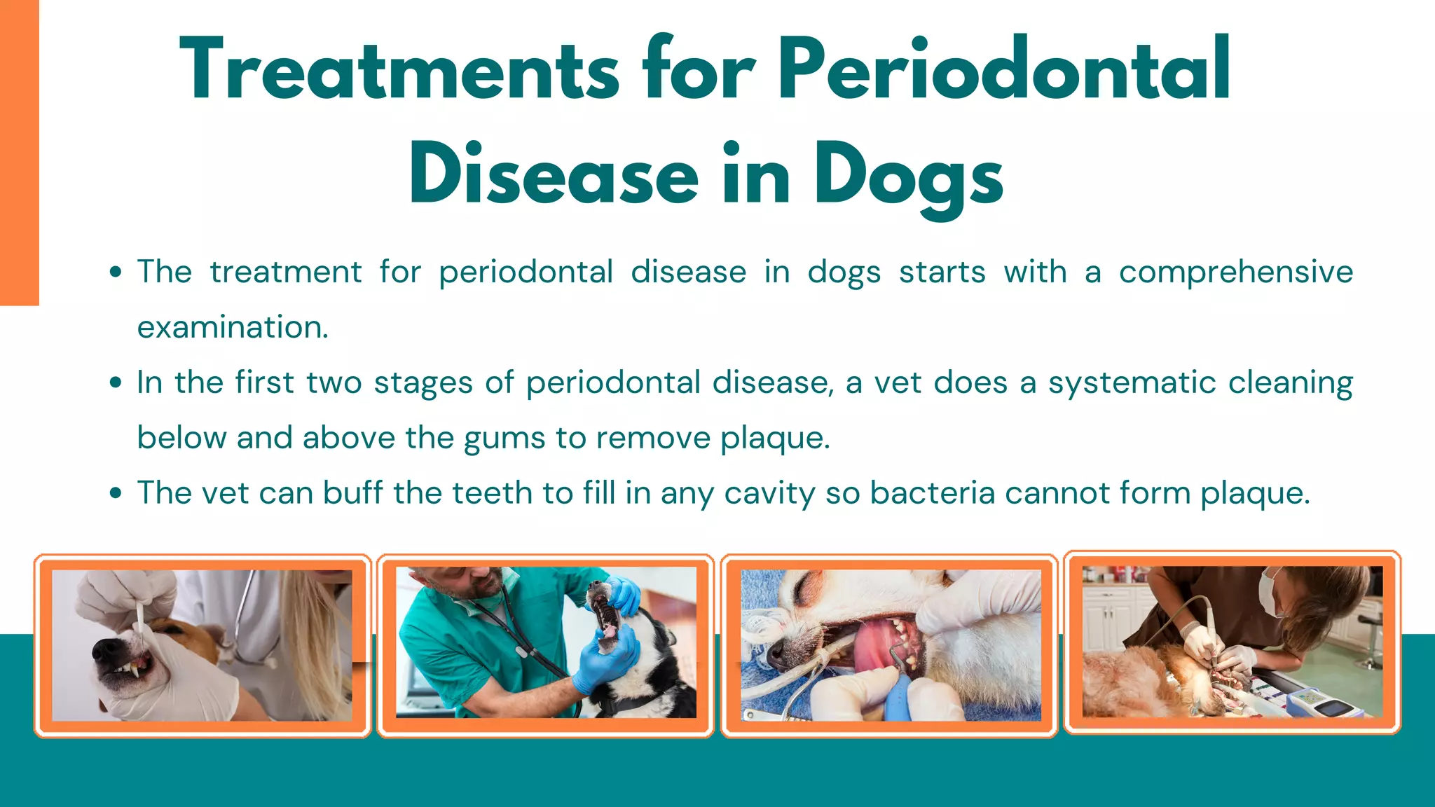 Periodontal Disease in Dogs.pdf