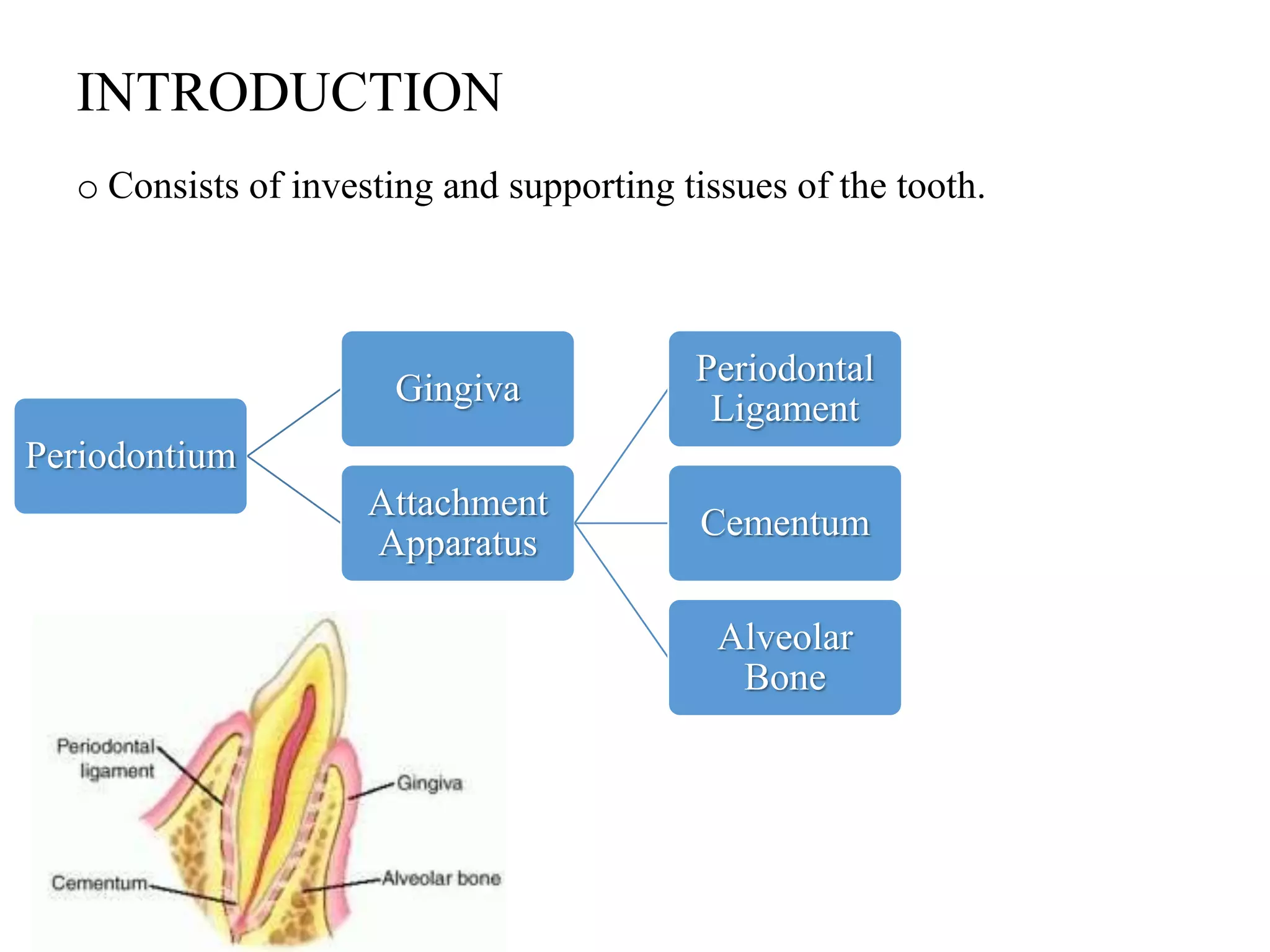 Periodontal disease in children -pedodontics | PPTX