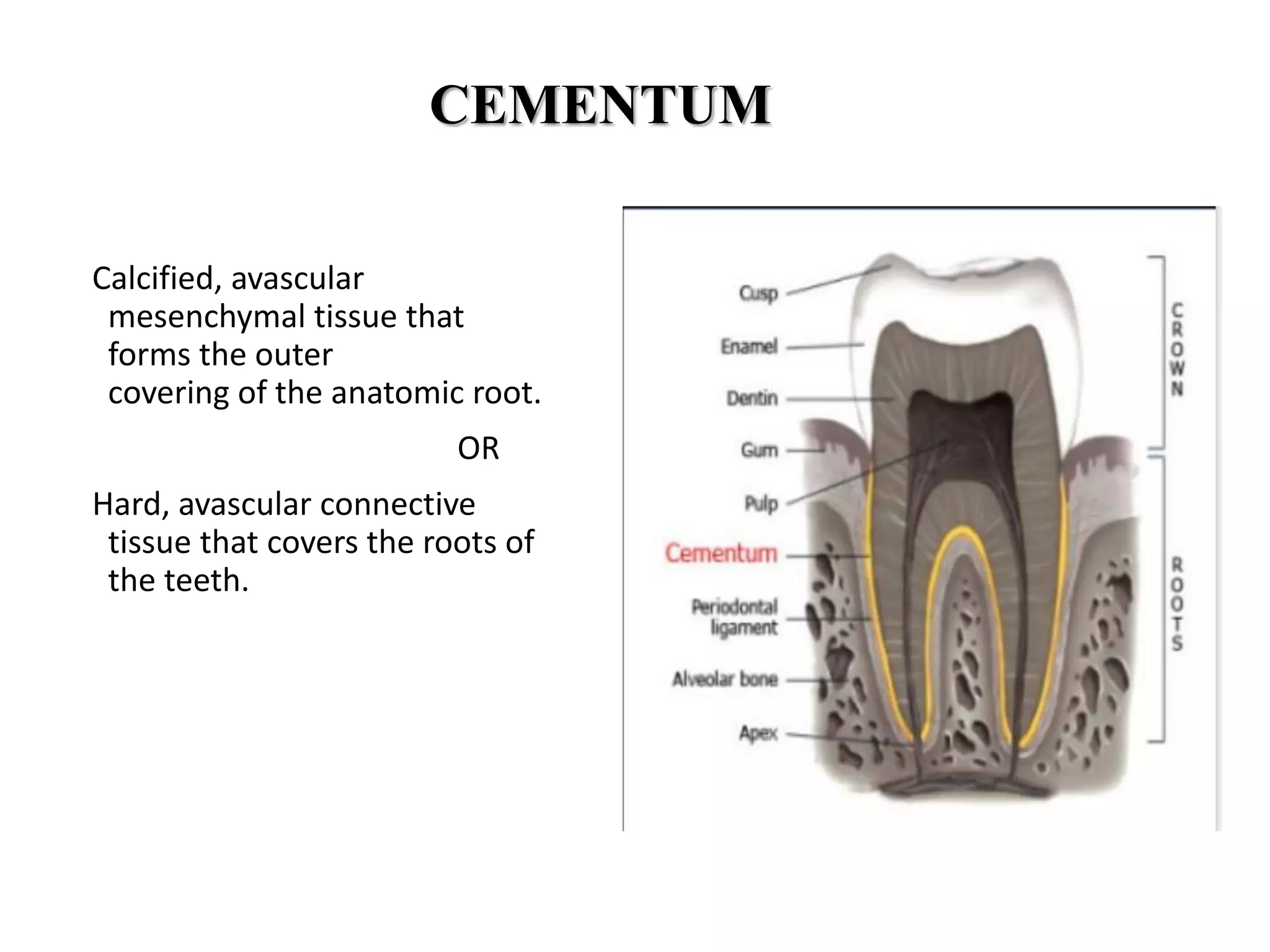 Periodontal disease in children -pedodontics | PPTX