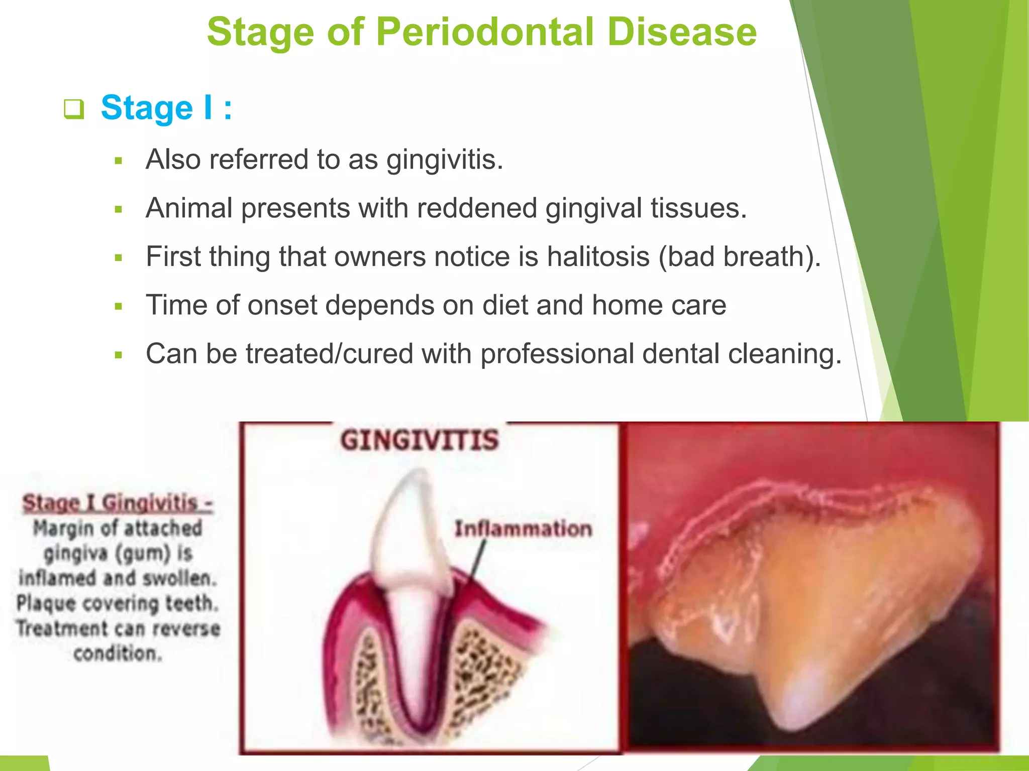 Periodontal diseases | PPTX