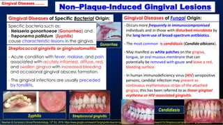 Periodontal diseases Classifications and treatments | PDF