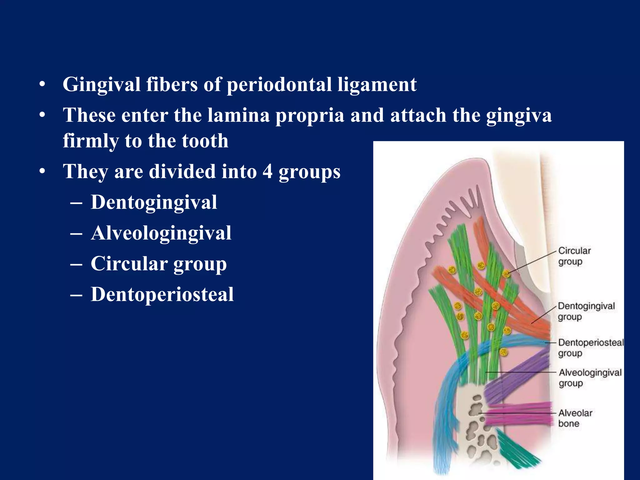 Periodontal diseases ppt | PPTX