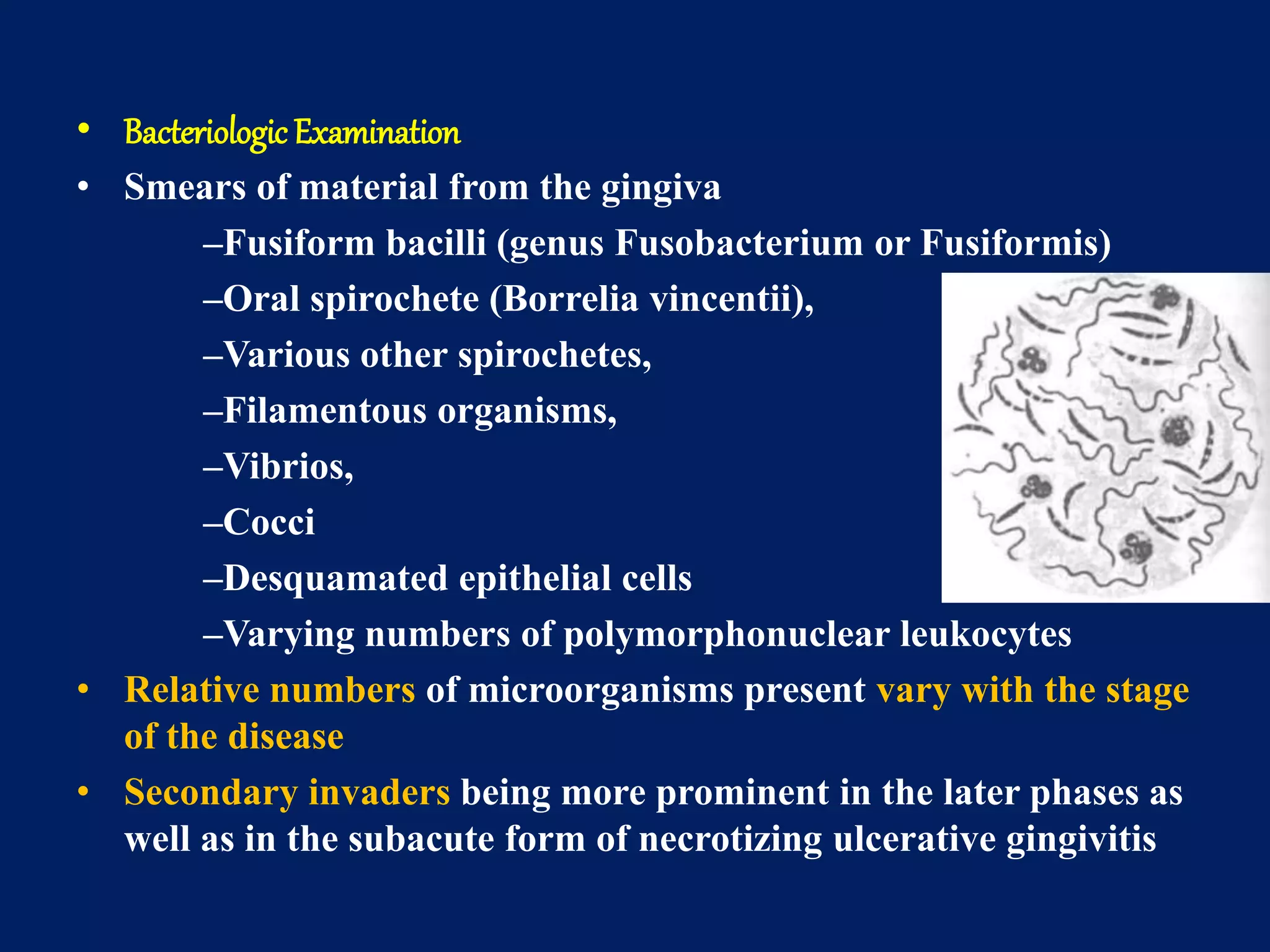 Periodontal diseases ppt | PPTX
