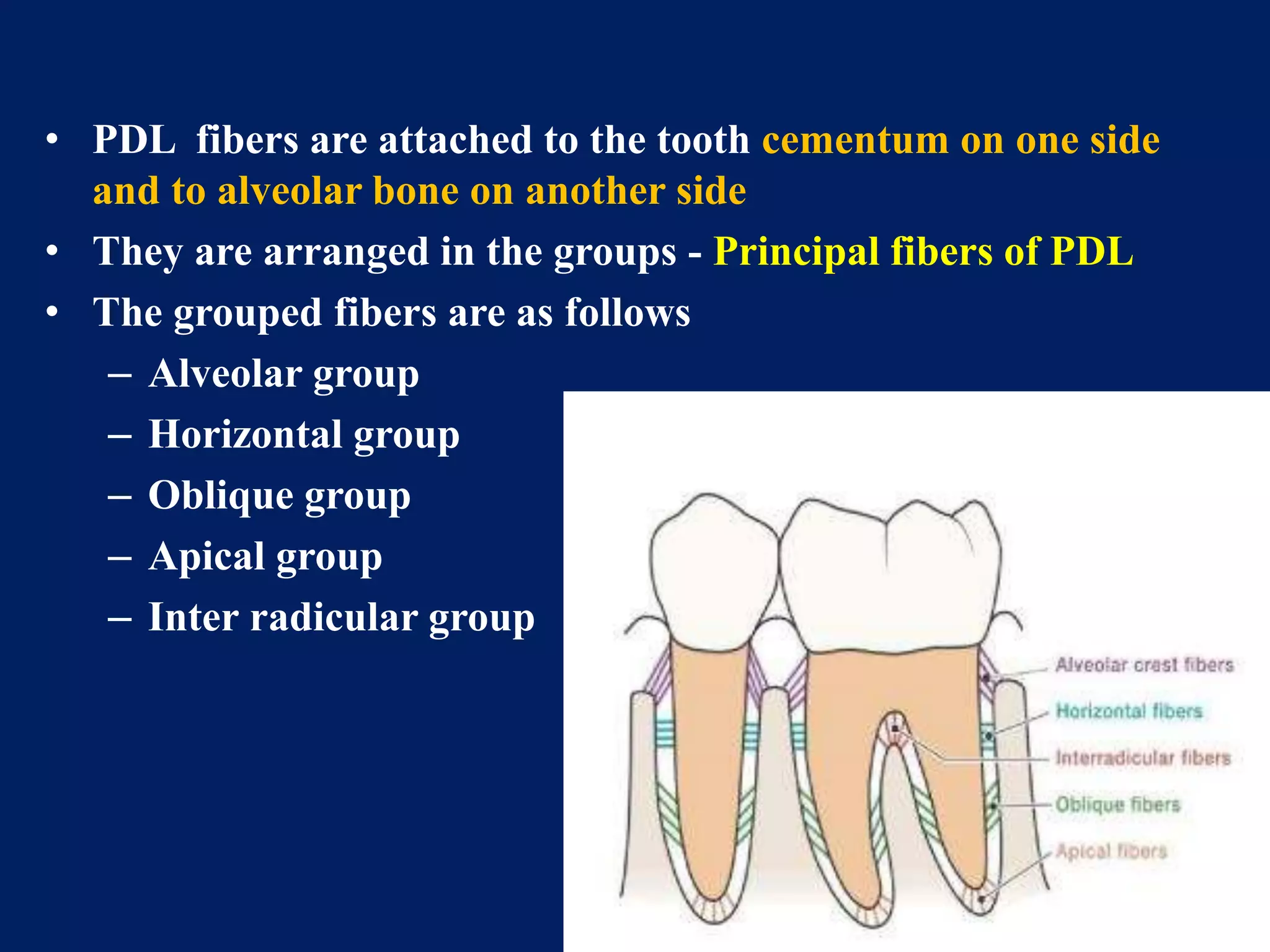 Periodontal diseases ppt | PPTX