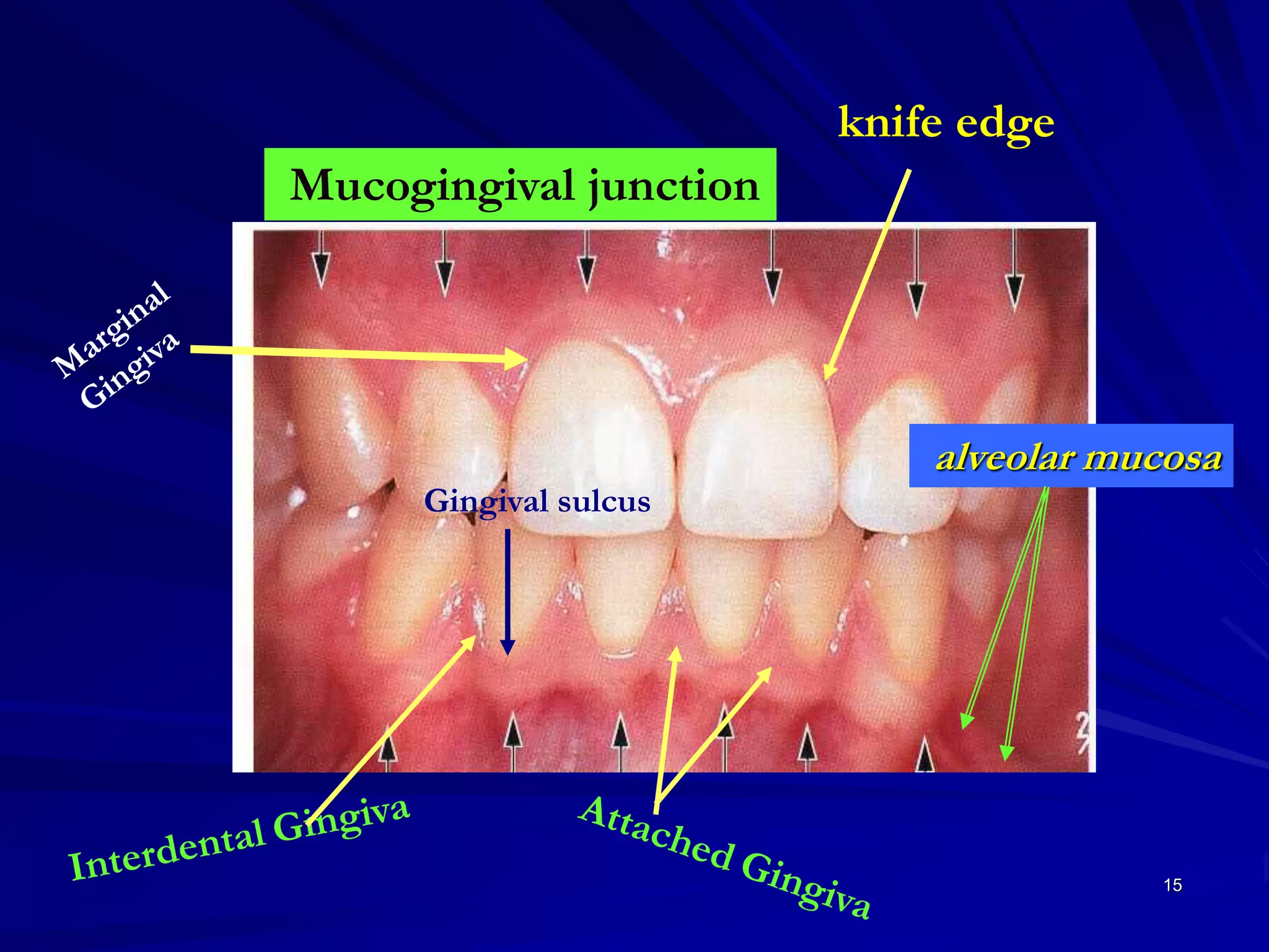 Periodontal examination ,chart. ppt | PDF