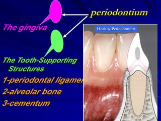 Periodontal examination ,chart. ppt | PDF