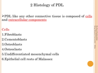 Periodontalligament 101206224643-phpapp01 | PPT