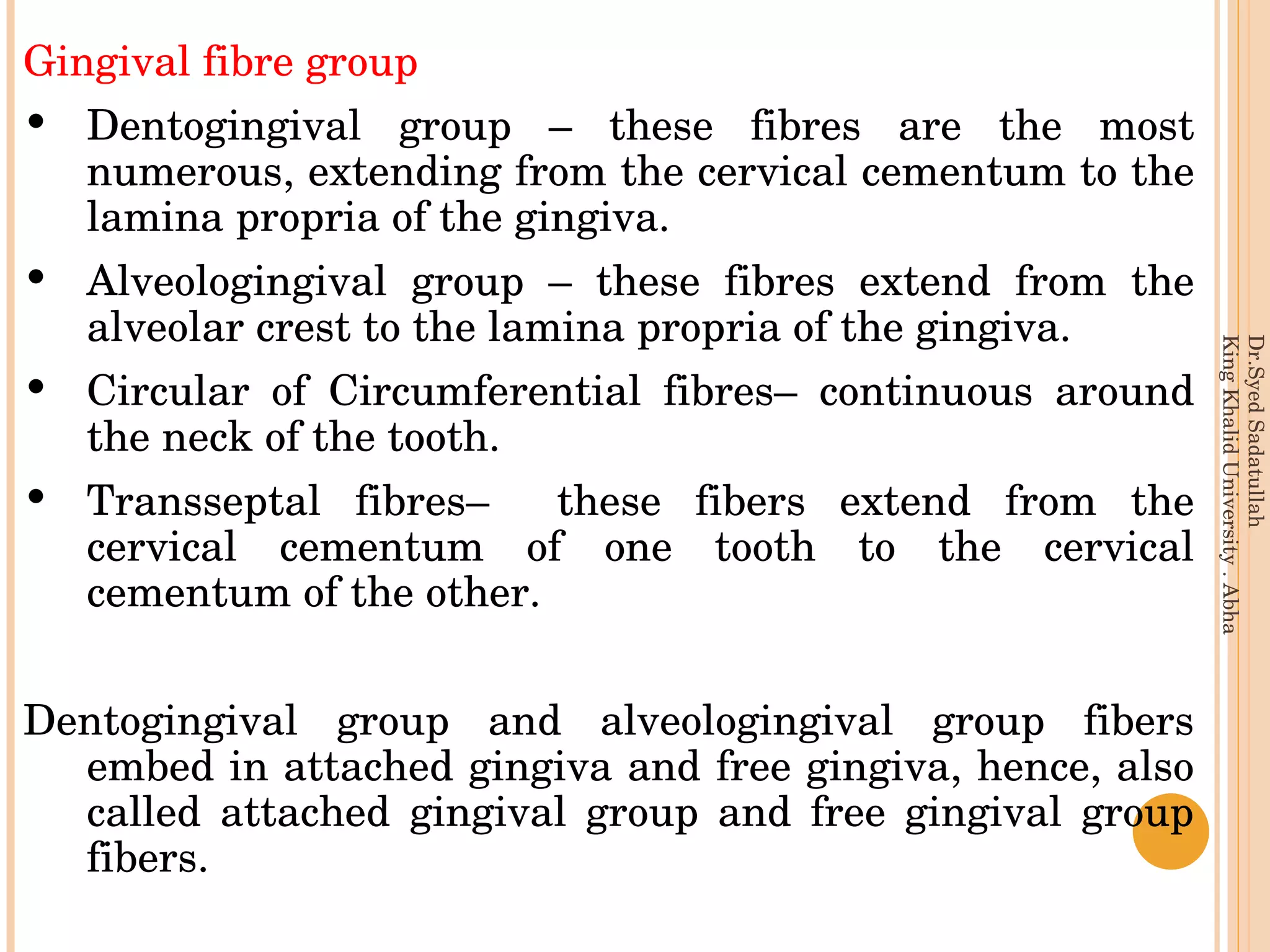 Periodontal ligament | PPT