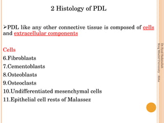 Periodontal ligament | PPT