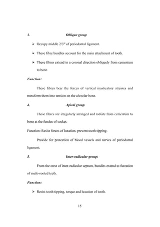 Periodontal ligament | DOC | Dental Health | Diseases and Conditions