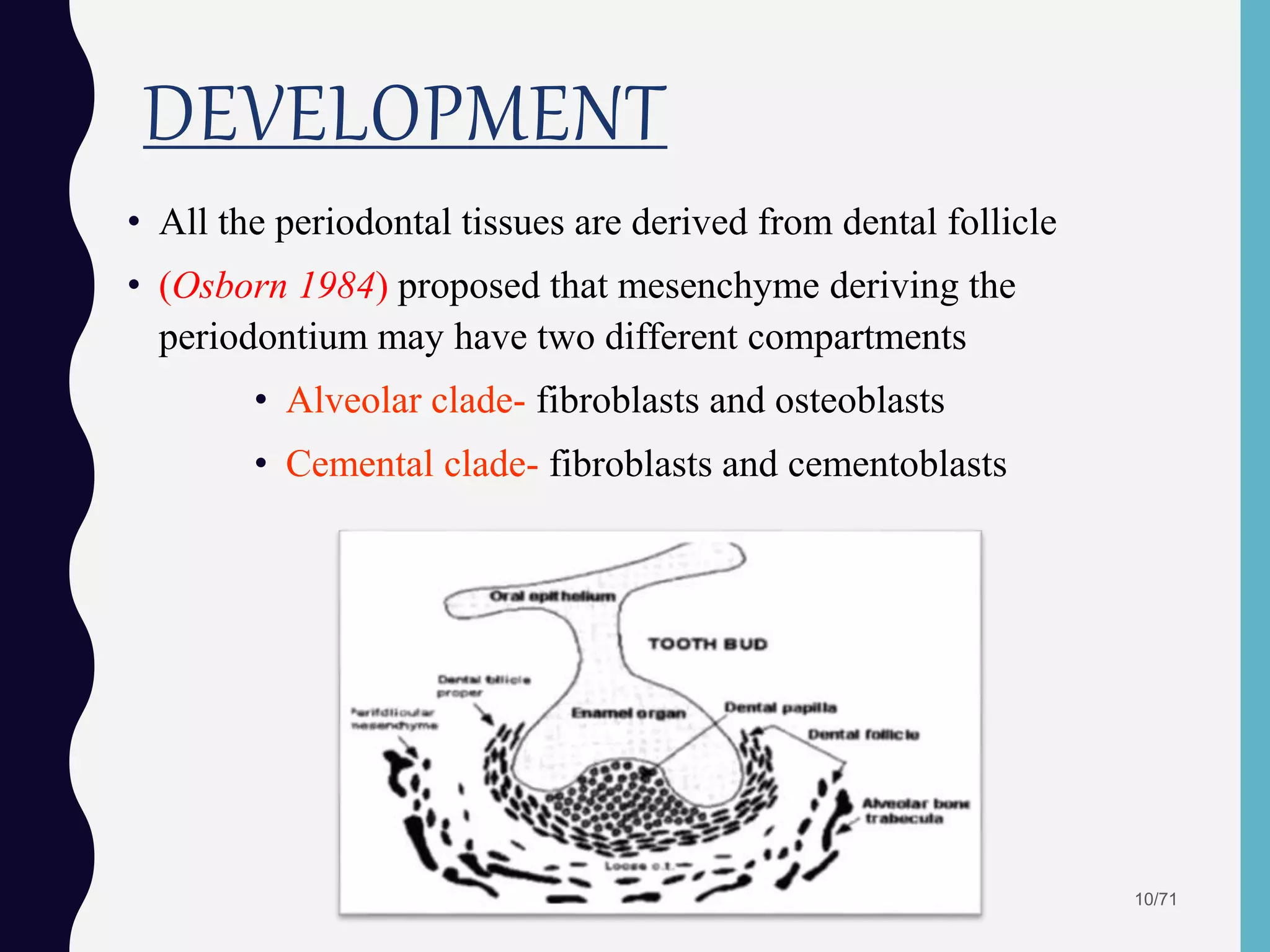 Periodontal ligament | PPTX