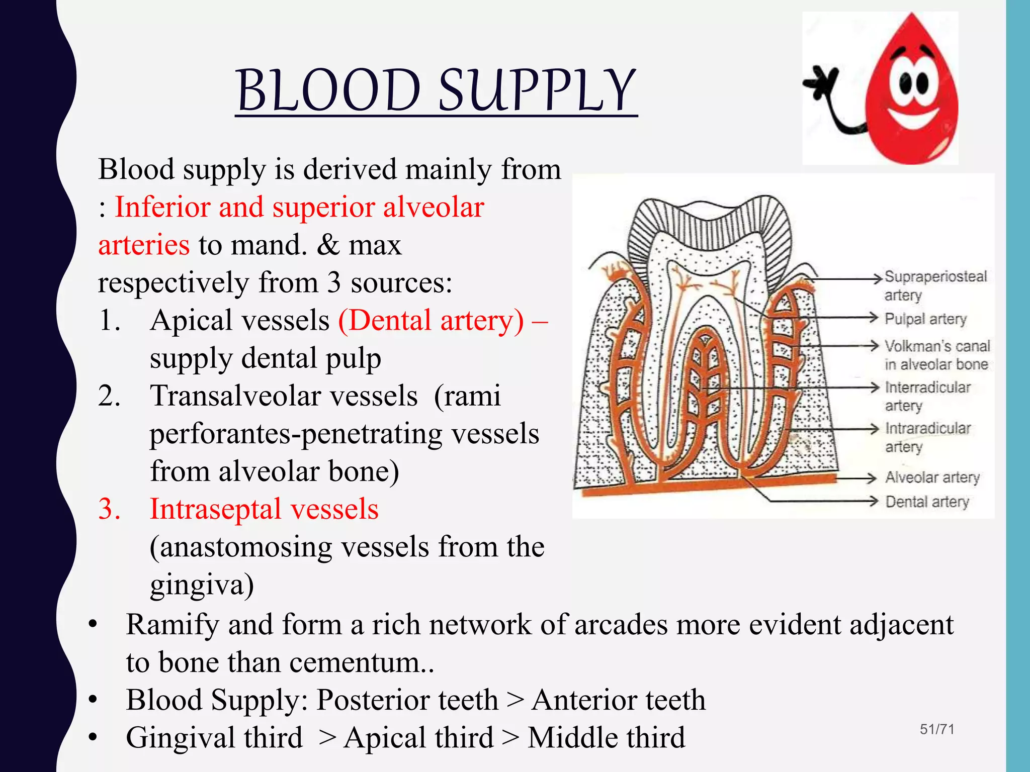 Periodontal ligament | PPTX