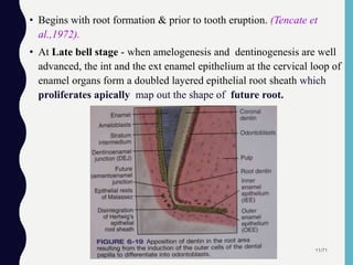 Periodontal ligament | PPTX