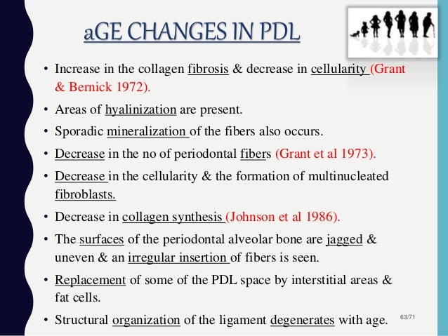 Periodontal ligament
