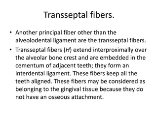 Periodontal ligament | PPTX