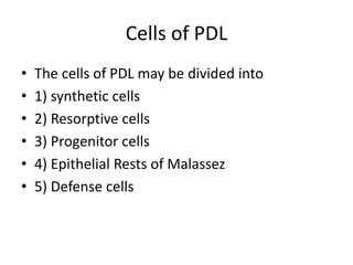 Periodontal ligament | PPT