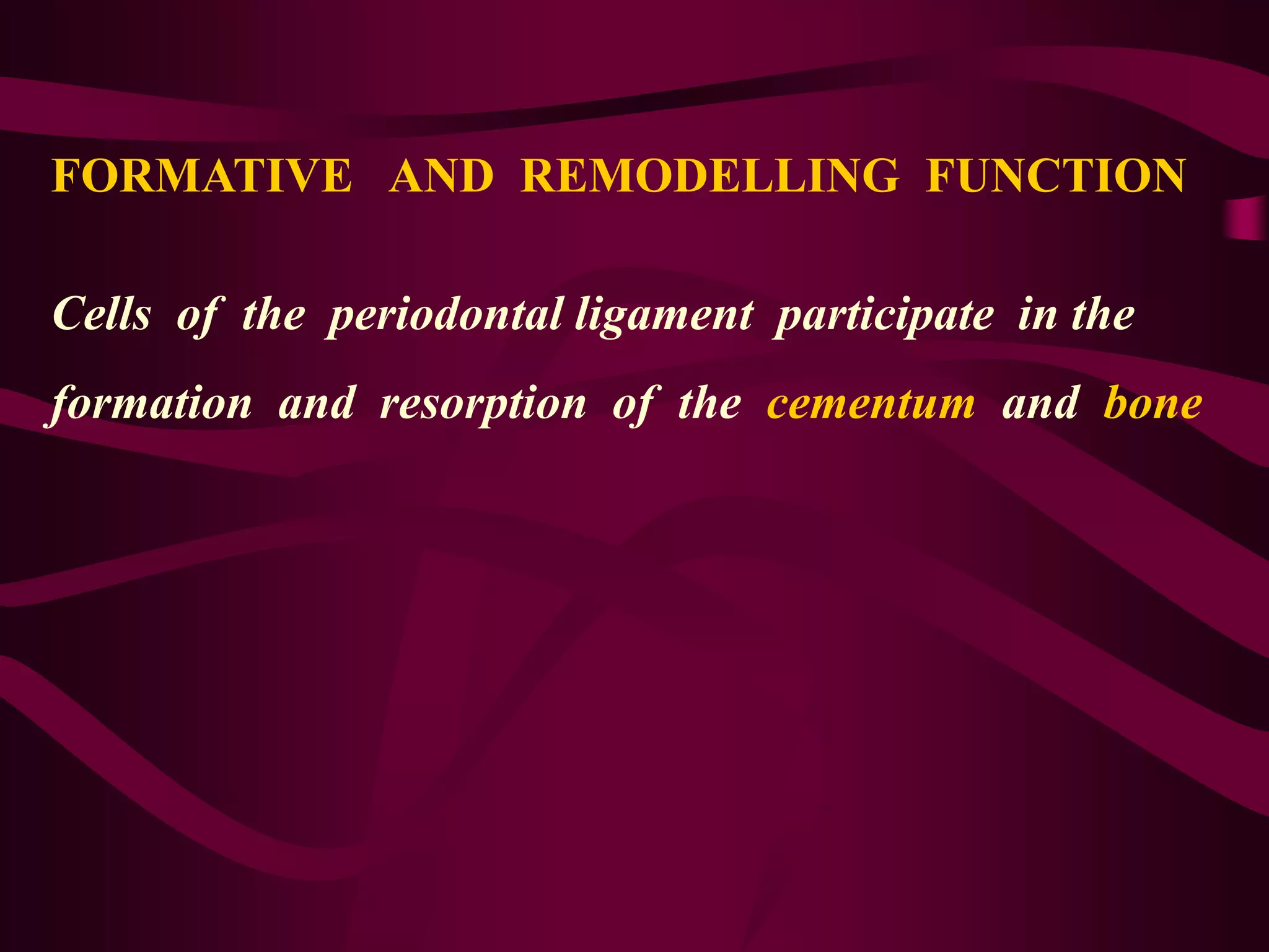 PERIODONTAL LIGAMENT.ppt