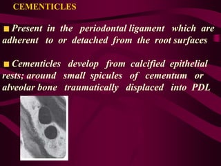 PERIODONTAL LIGAMENT.ppt