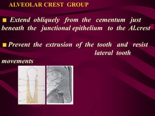 PERIODONTAL LIGAMENT.ppt