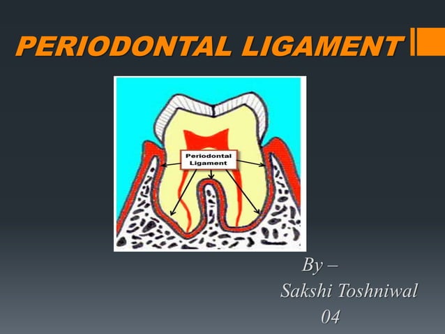 PERIODONTAL LIGAMENT.pptx