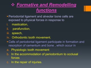 PERIODONTAL LIGAMENT.pptx