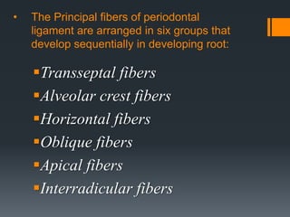 PERIODONTAL LIGAMENT.pptx
