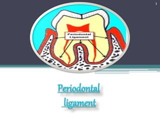 Periodontal ligament.pptx by Dr. Ira Gupta | PPTX