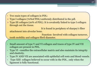 Periodontal ligament.pptx by Dr. Ira Gupta | PPT