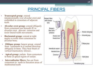 Periodontal ligament.pptx by Dr. Ira Gupta | PPT