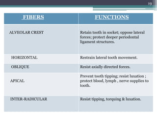 Periodontal ligament.pptx by Dr. Ira Gupta | PPT